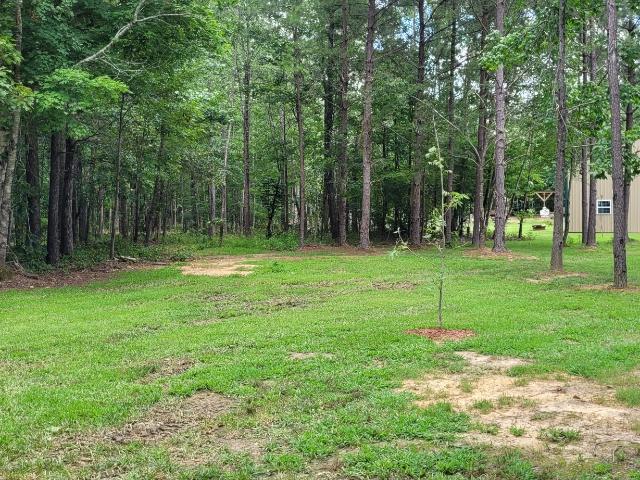 167 Freeman Fielder Rd