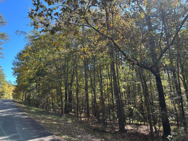 167 Southwind Drive # 7