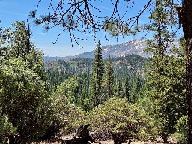 167 Pine Cone Path, North Fork, CA 93643