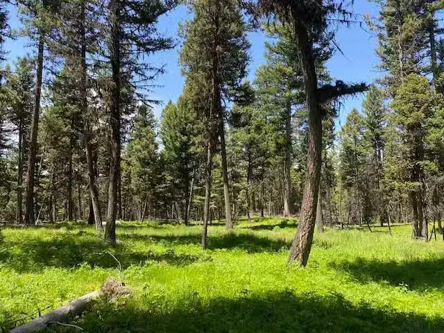 167 TELEMARK WAY, SEELEY LAKE, MT 59868 Single Family Residenc.