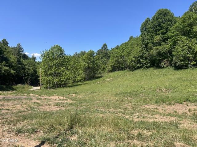 1684 Draft Rd, Butler, TN 37640