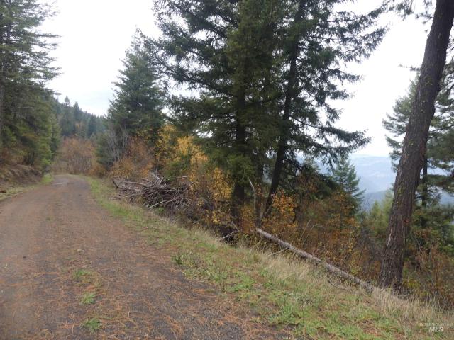 1684 Tranquil Lane #1