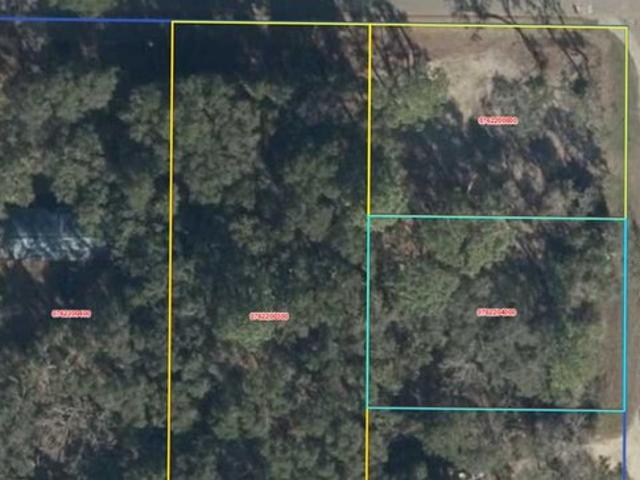 16850 NW 80th Ave, Fanning Springs, FL 32693