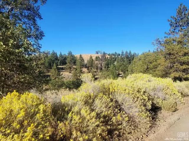 16851 INTERLAKEN ST, TEHACHAPI, CA 93561 Vacant Land For Sale.
