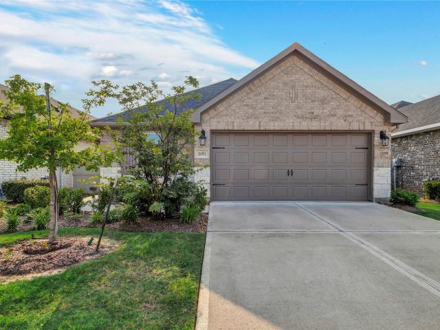 16891 Pink Wintergreen Drive, Conroe, US, TX