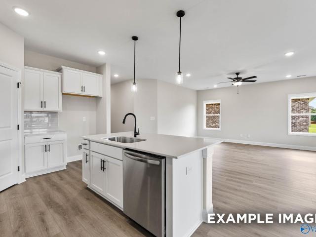 16806 Demi Drive
