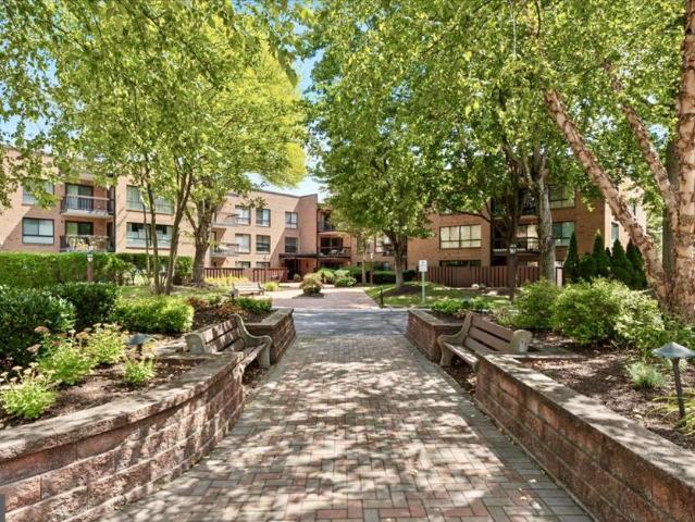 1680 Huntingdon Pike # 243