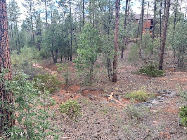 1680 Snow Creek Loop