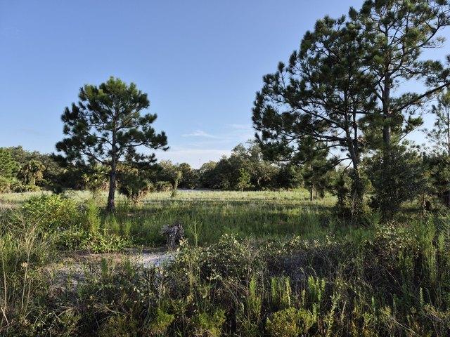 16810 NW 292nd St, Okeechobee, FL 34972
