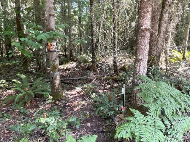 16815 224th Ave Ct E, Orting, WA 98360 MLS 2142999