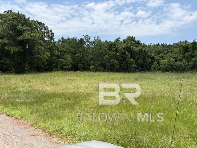 16818 Patricia Dr Lot 27, Gulf Shores, AL 36542