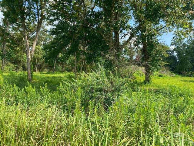 16827 Engel Ln, Foley, AL 36535