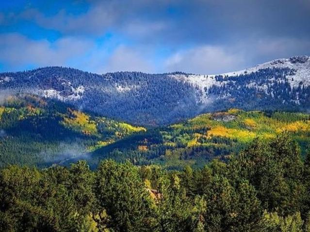 1682 Clark Rd Lot 20, Bailey, CO 80421