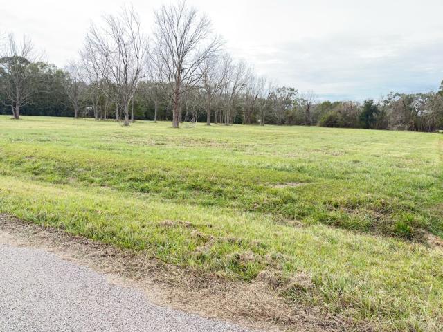 16834 Wrangler Road