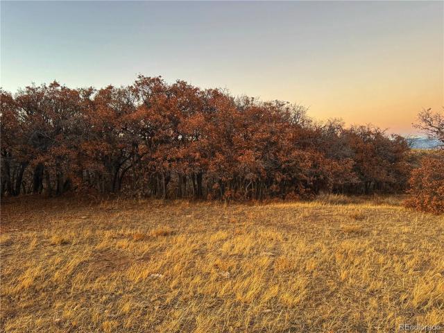 168 Colorado Land and Grazing