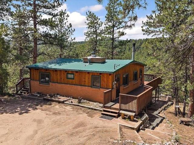 168 Juniper Ln, Bailey, CO 80421