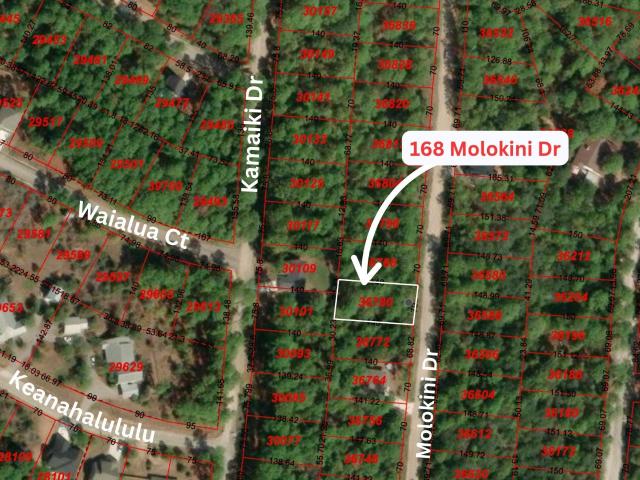 168 Molokini Dr