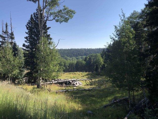 168 Mertz Pl Lot 65, Black Lake, NM 87710