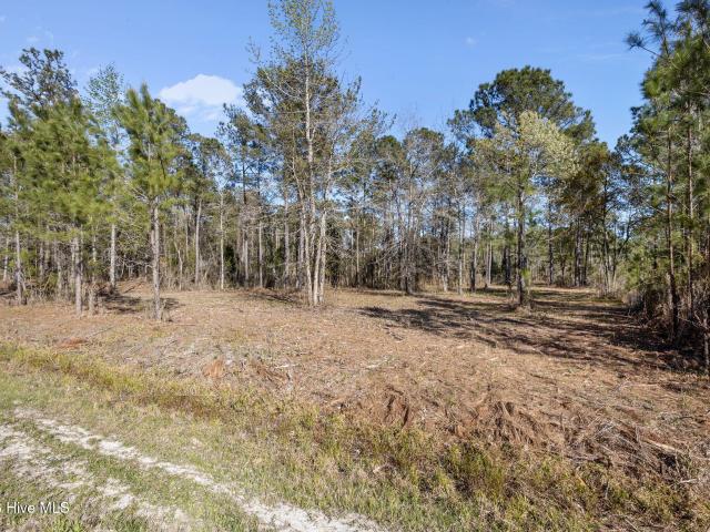 168 Shell Castle Lane # 31