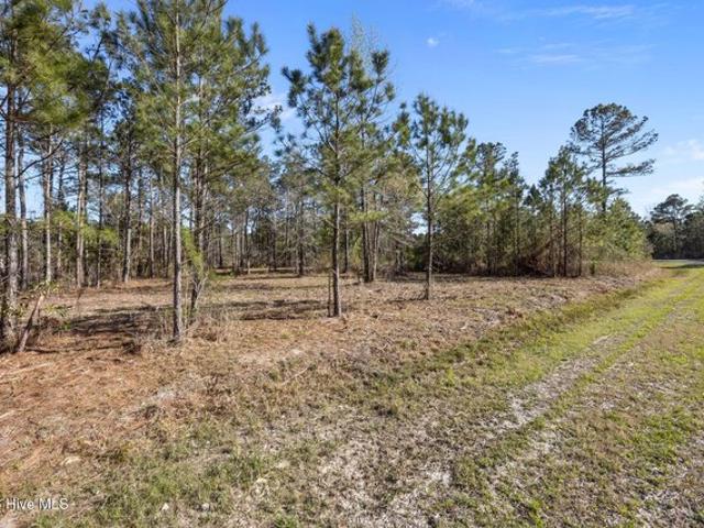 168 Shell Castle Ln Lot 31, Vandemere, NC 28587