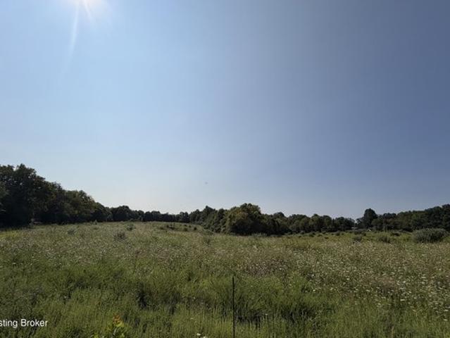 168 Wooded Ridge Rd, Sulphur, KY 40070