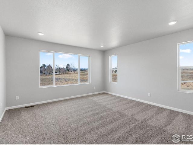 16953 Ballinger Cir, Mead, CO 80542 | MLS #1048