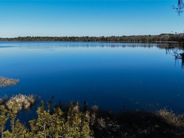 16970 NE 120th Ave, Waldo, FL 32694