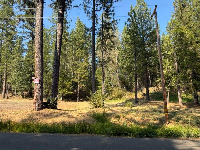 16970 Old Downieville Hwy, Nevada City, CA 95959 | MLS #225120 | Compass