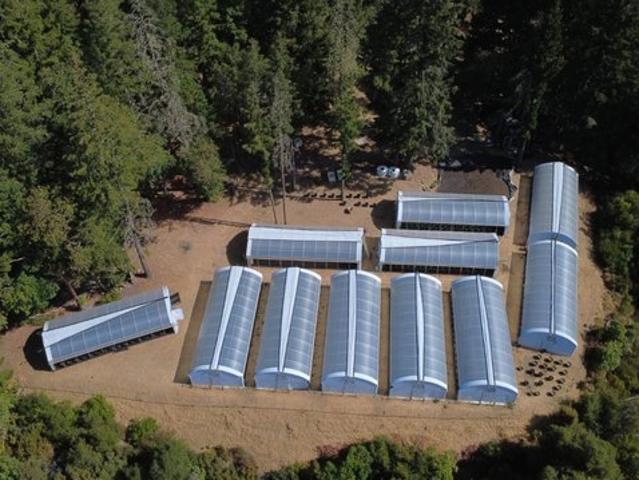 16900 Old Boy Scout Rd, Willits, CA 95490