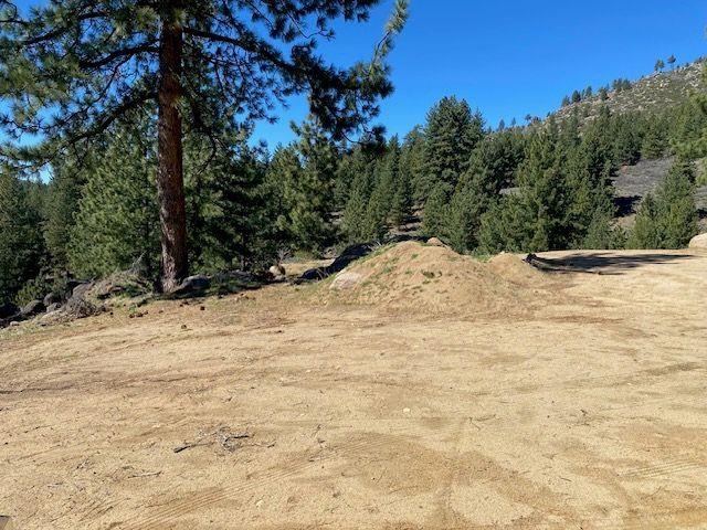 1690 Cull Ct, Portola, CA 96122 | MLS #2600