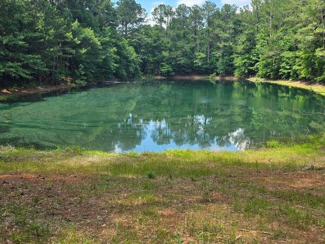 1693 S McDonough Rd, Griffin, GA 30224 | MLS #10534 | Compass