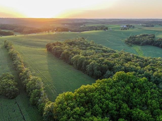 169 75 / Acres Stump Ridge Rd, Viroqua, WI 54665