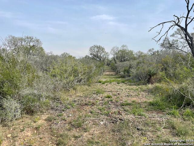 169 County Road 1670