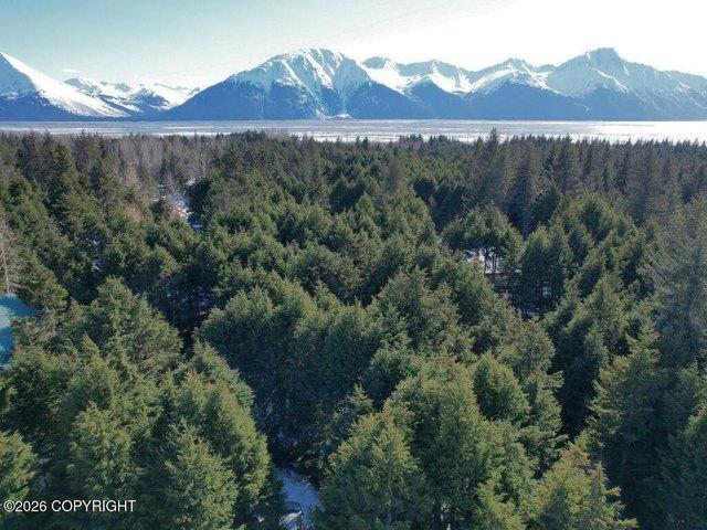 169 Agostino Mine Rd, Girdwood, AK 99587
