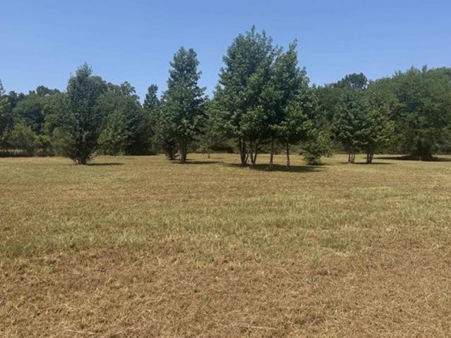 169 Alydar Trl, Hot Springs, AR 71901