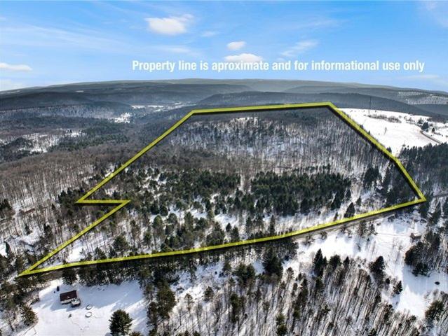 169 Irish Hill Rd, Newfield, NY 14867