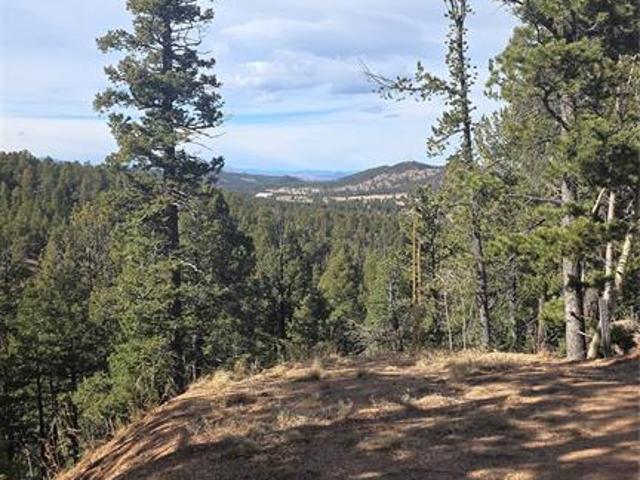 169 Osoeola Rd, Woodland Park, CO 80863 | MLS #6938 | Compass