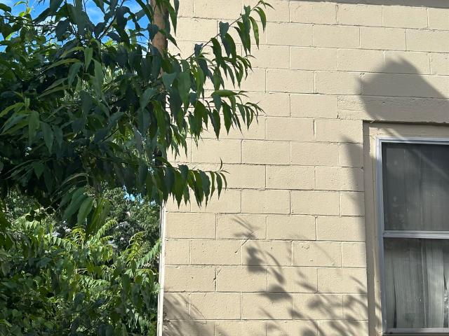 169 S Main Street