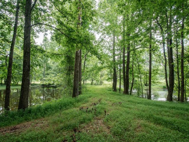 169 Pendergrass Rd