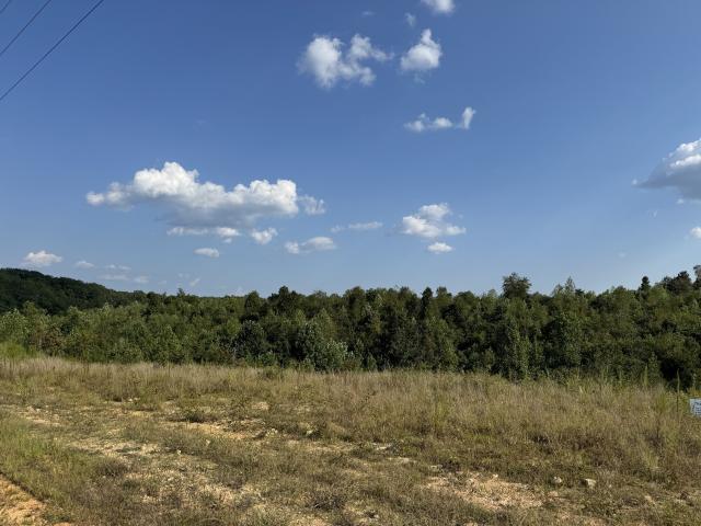 169 Twin Pines Rd