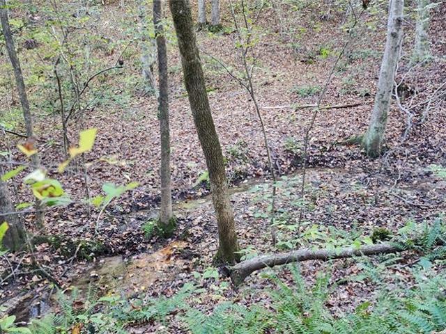 16.4ac Plainview DR