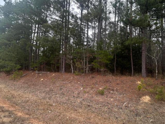 16.9 Ac Hwy 220 E