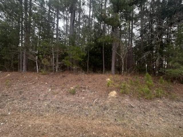 16.9 Ac Highway 220 E, Lincolnton, GA 30817