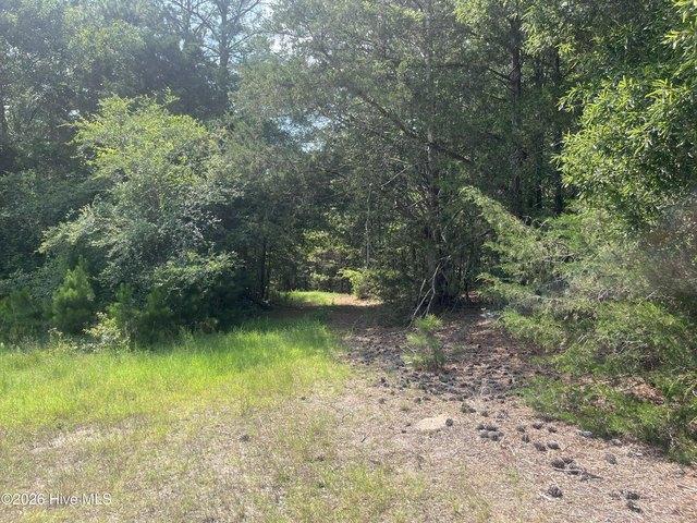 16.9 Ac Rowland York Dr, Lincolnton, GA 30817
