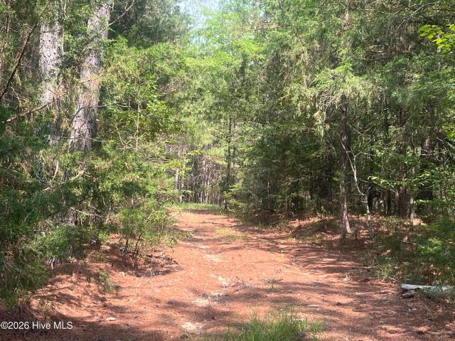 16.9 Ac Rowland York Drive