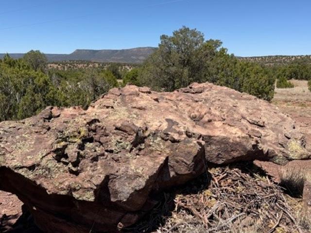 16.03 acres County Road B55