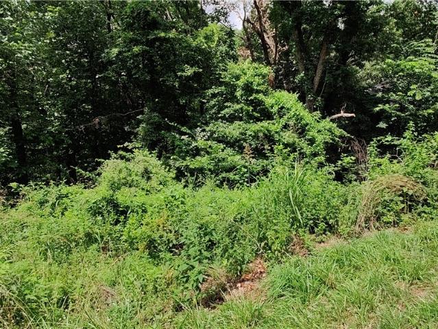 16 05074 Brecknock Drive