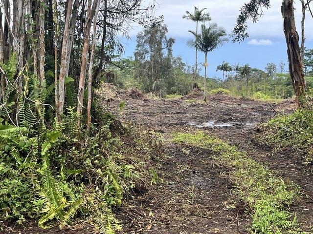 16 123 th Ave, Kurtistown, HI 96760