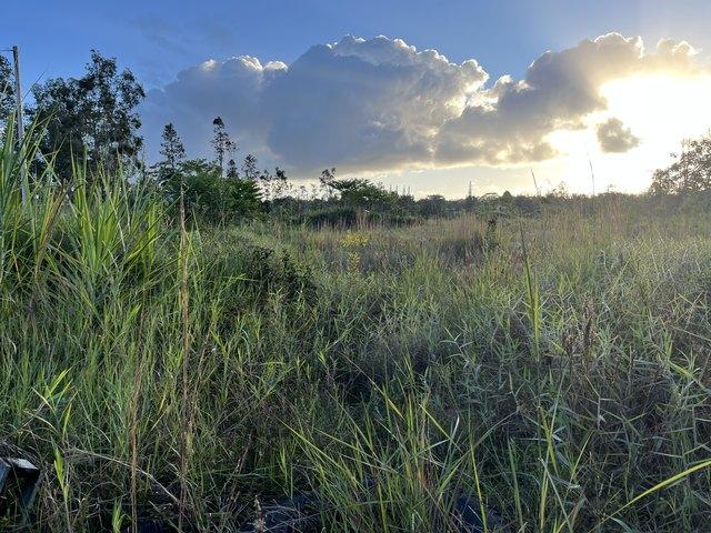 16 1272 Koloa Maoli Rd, Mountain View, HI 96760