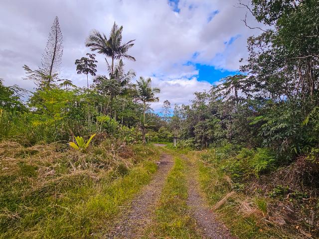 16 1346 Road 7 opeapea Mountain View, Kurtistown, HI 96760 | MLS #723593